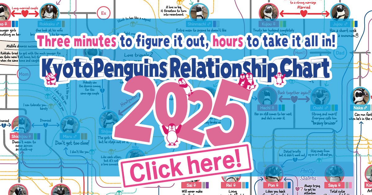 Kyoto Penguins Relationship Chart 2025｜Kyoto Aquarium